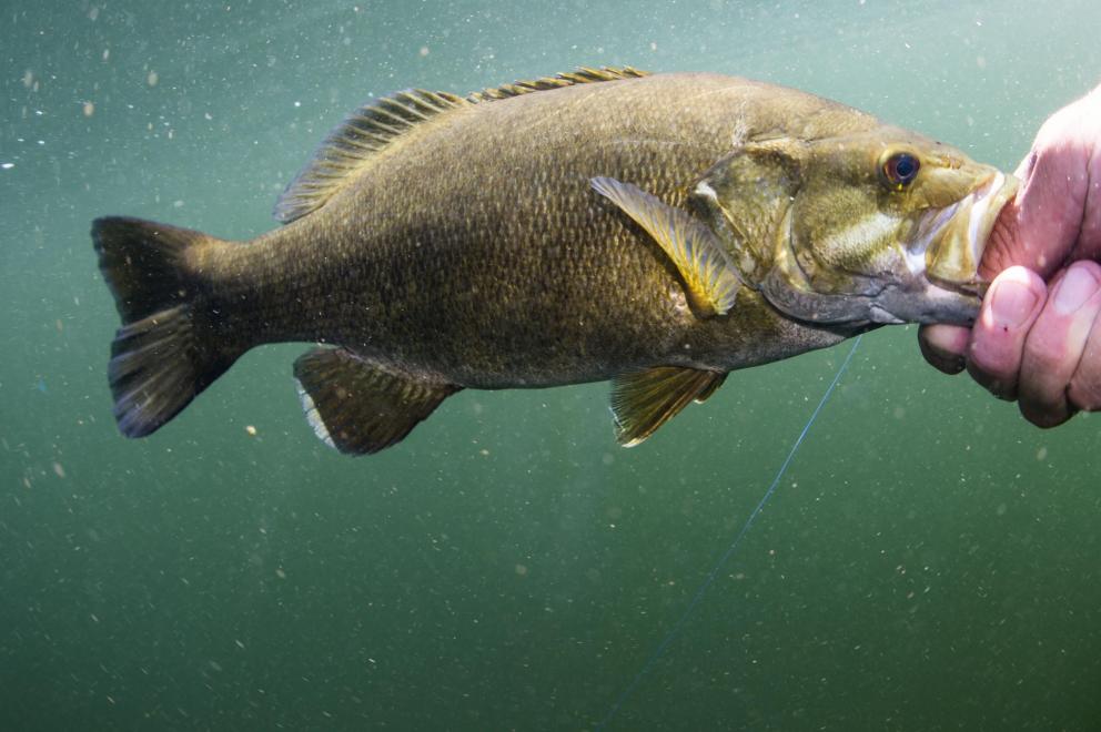 Photo Gallery | Flying B Ranch