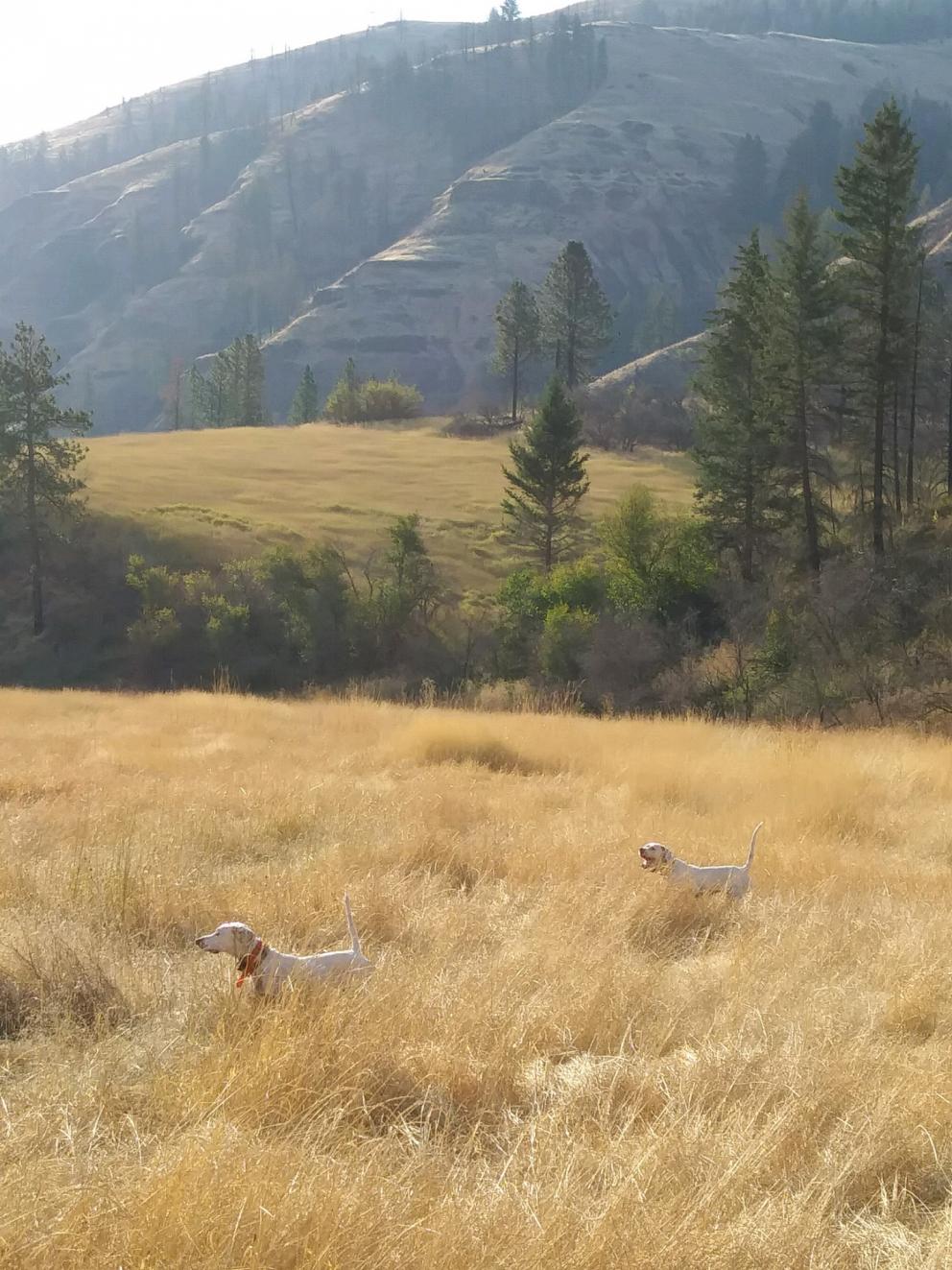 Photo Gallery | Flying B Ranch