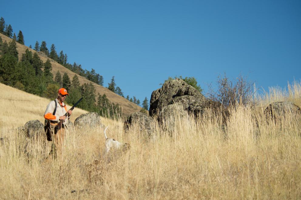 Photo Gallery | Flying B Ranch