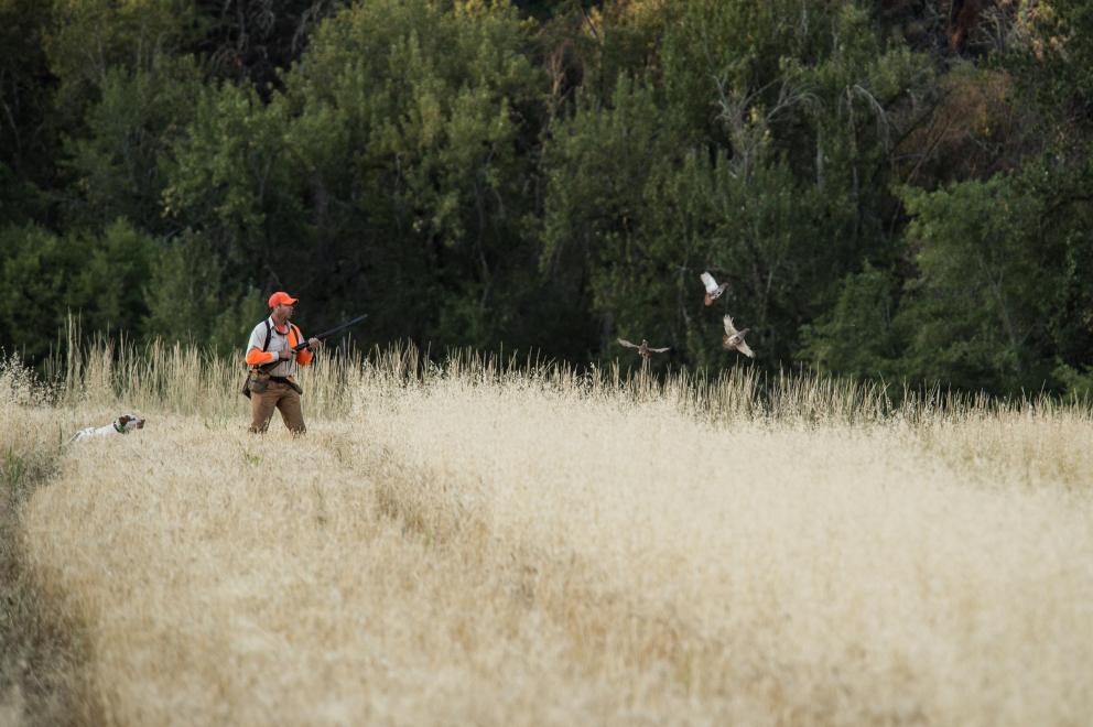 Photo Gallery | Flying B Ranch