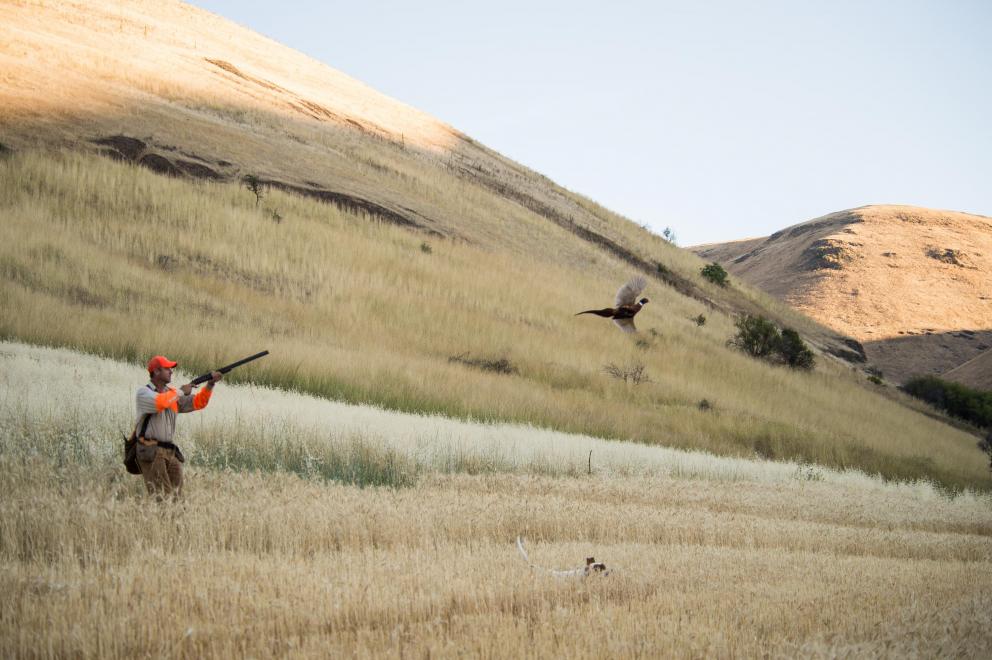 Photo Gallery | Flying B Ranch