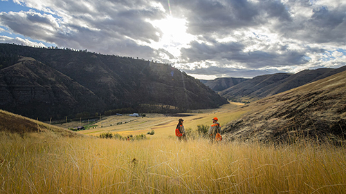 Flying B Ranch | Flying B Ranch